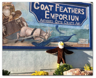 About Boulder City High School – Boulder City High School